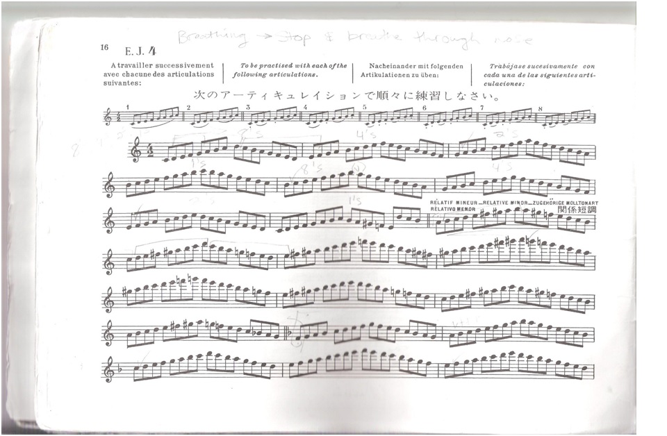 Scale Games – Are They Really "Fun"? – Rachel Taylor Geier